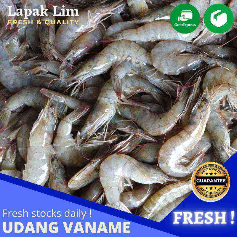 Jual Udang Vaname Segar, Udang Panami Fresh, Udang Putih Fresh, Berat ...