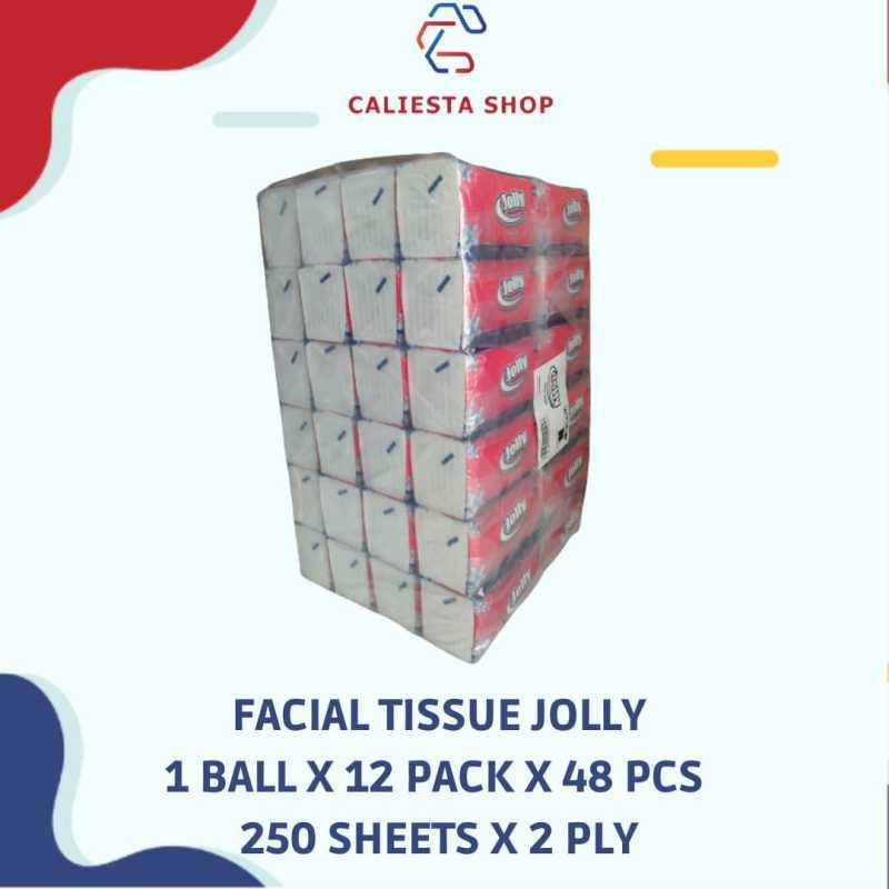 Promo Jolly By Paseo Facial Tissue Putih 250 Sheets - 2 Ply [48 Pcs/ 1 ...