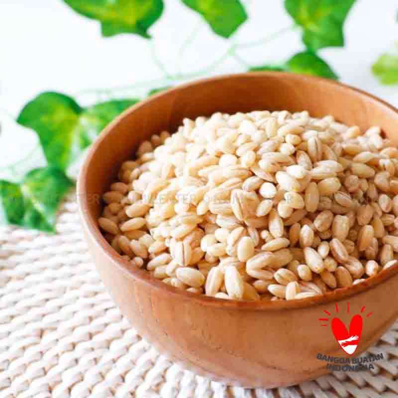 Jual 100G PEARL BARLEY BERAS JELAI JALI - BULK BIN di Seller Numi ...