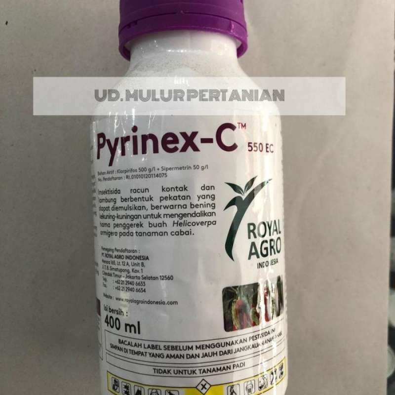Jual Insektisida Pyrinex-C dr Royal Agro 400 ml di Seller UD PANEN RAYA ...