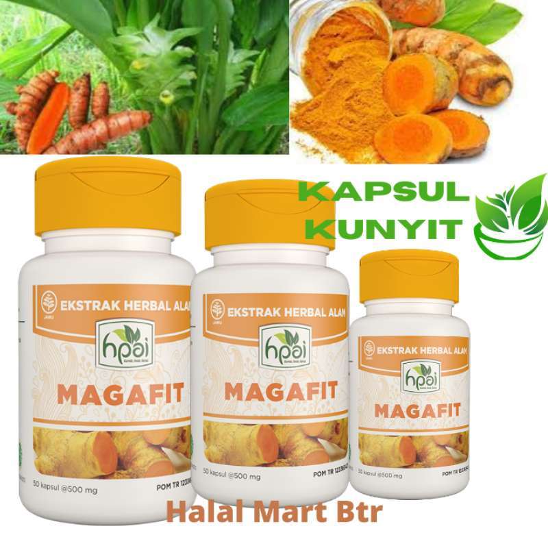 Jual Kapsul Kunyit Hni Magafit di Seller Halal Mart Btr - Burangkeng ...
