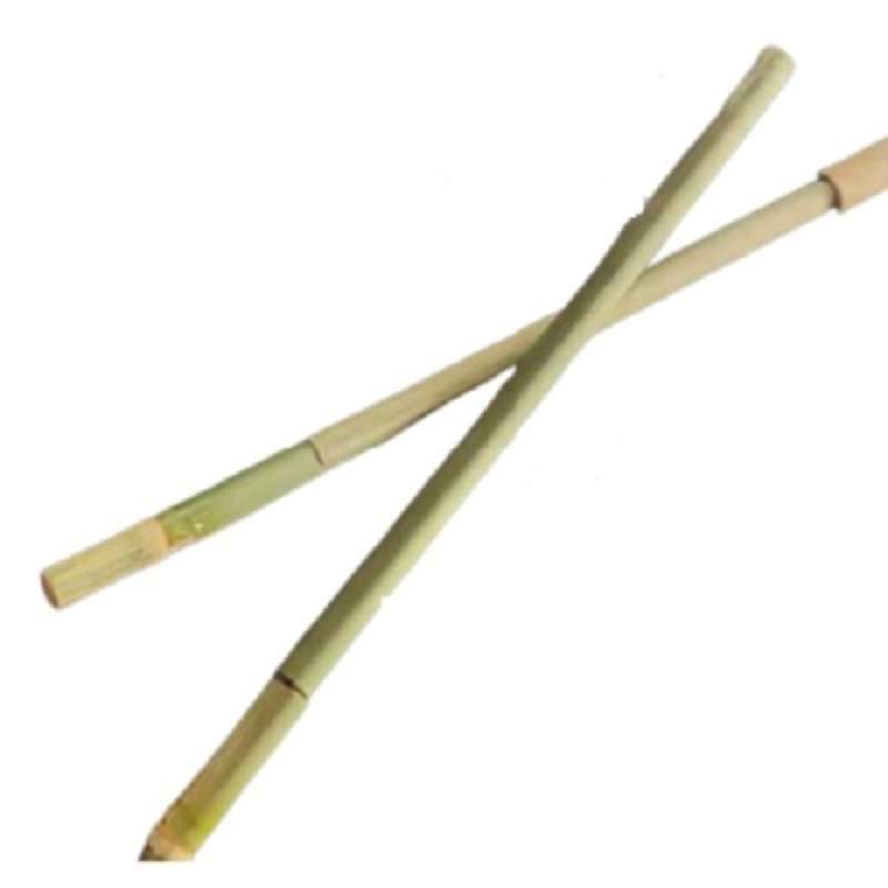 Promo Mainan Bambu Pletokan Permainan Tradisional Jadul Diskon 38% Di ...