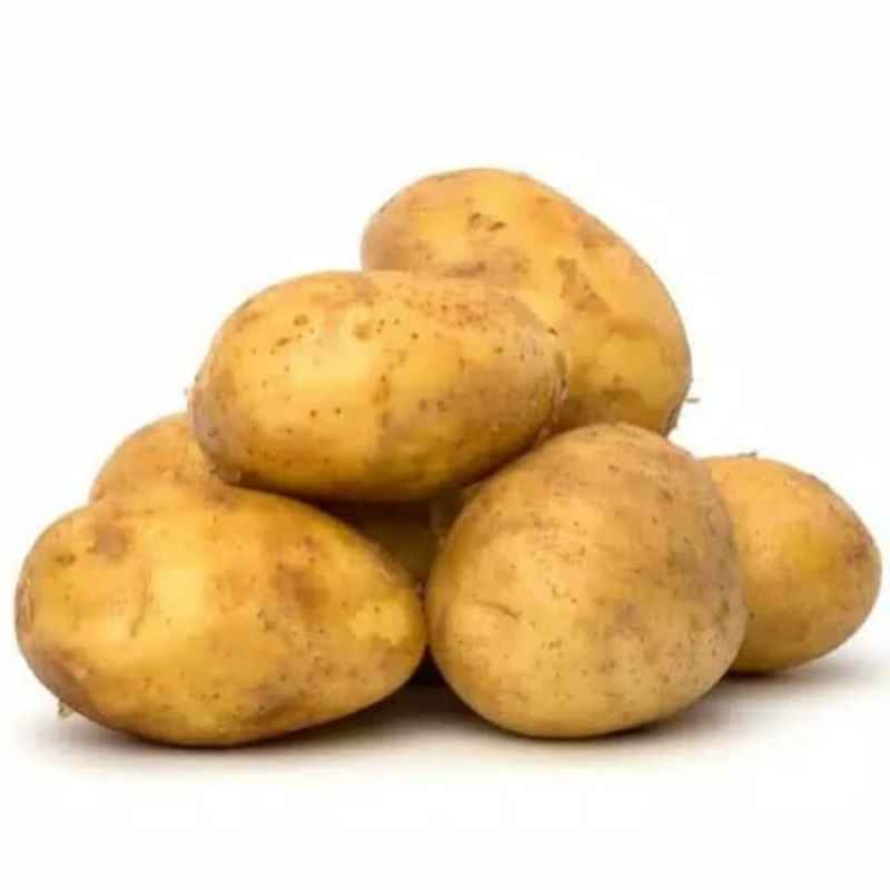 Jual Kentang Besar 500 Gram Halal di Seller SayurSegar - Kembangan ...