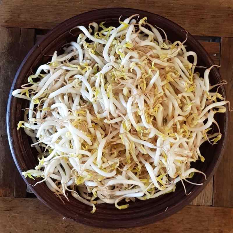 Jual Sayur Segar Tauge/Toge Bangkok Panjang/Long Bean Sprouts 100 gr ...