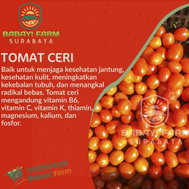 Promo Tomat Ceri / Cherry Tomato 250 Gr Halal Diskon 10% Di Seller ...