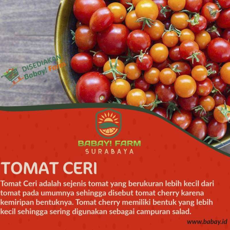 Promo Tomat Ceri / Cherry Tomato 250 Gr Halal Diskon 10% Di Seller ...