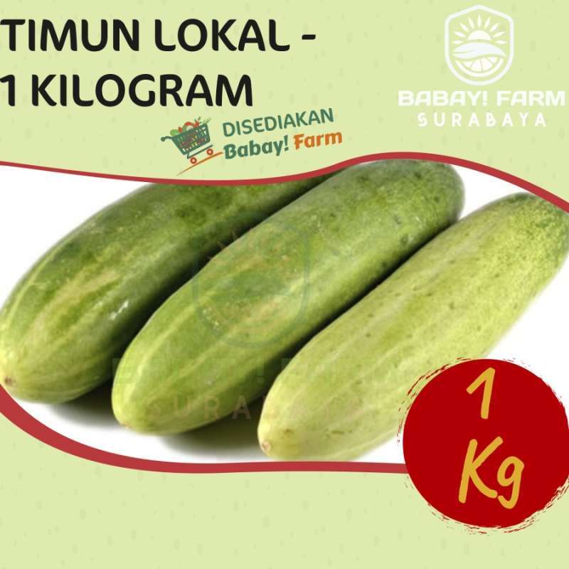 Jual Gambar Timun Kecil Lalap Terdekat 🏷️ Harga Grosir Murah Terupdate ...