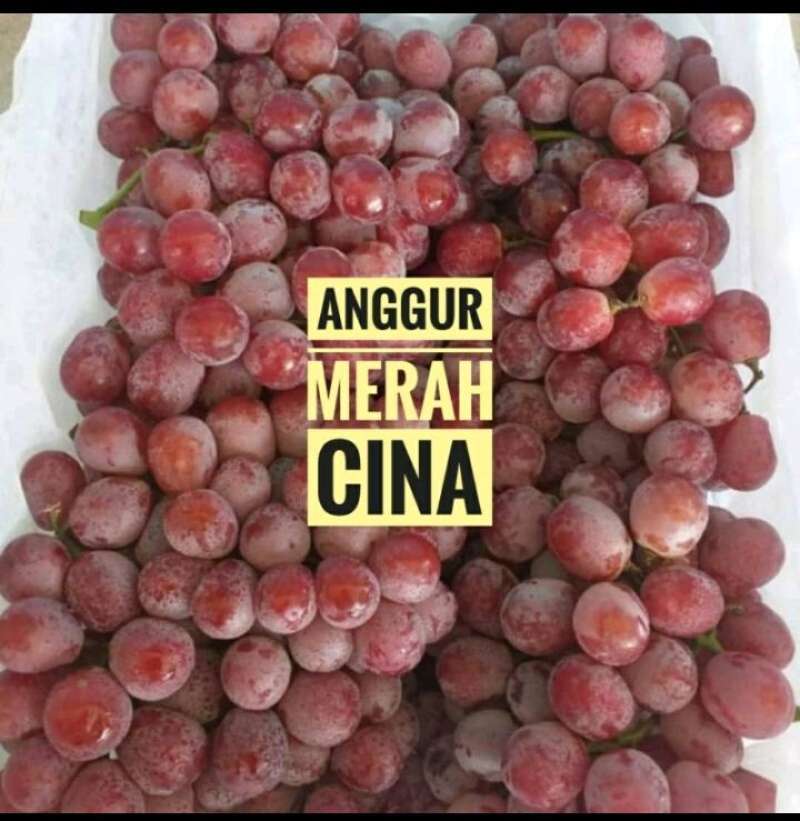 Jual Anggur Merah Cina Terdekat 🏷️ Harga Grosir Murah Terupdate Hari ...