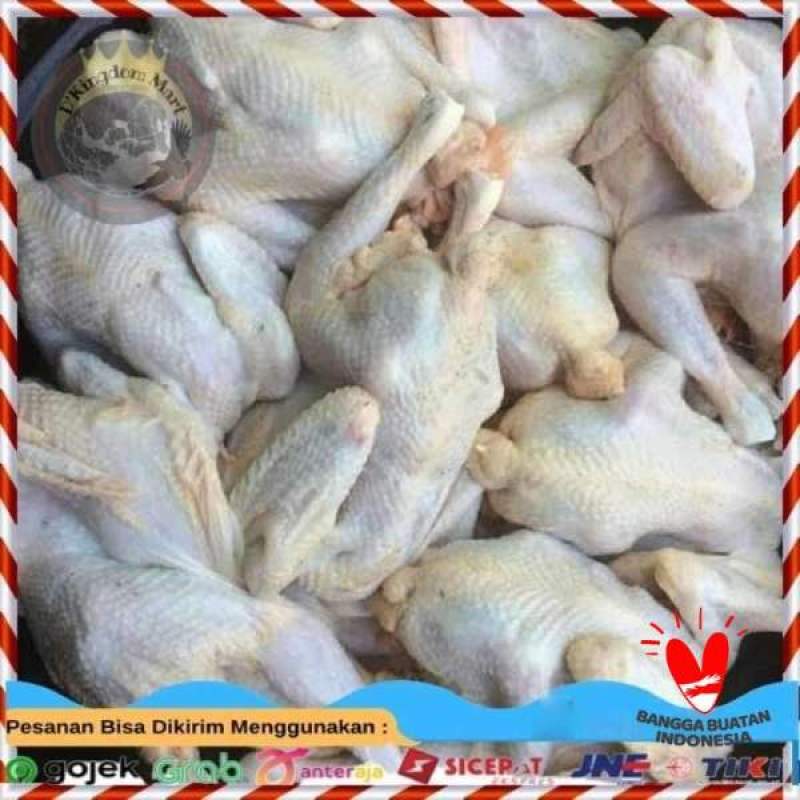 Jual Ayam Kampung Utuh Small 600-700 gr FRESH FROZEN VARIAN UTUH DAN ...