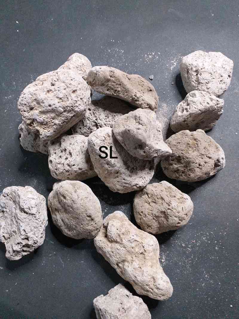 Pumice Aquarium Filter Media at Michael Stover blog