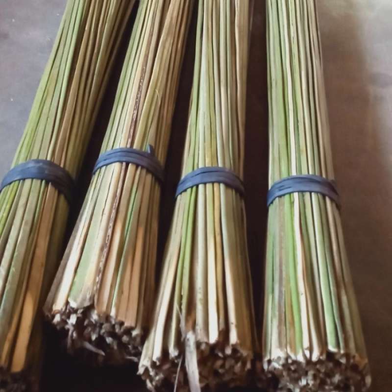 Sapu Lidi - Harga Terbaru April 2026