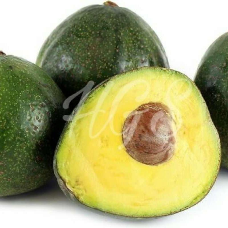 Jual Bibit Tanaman Buah Alpukat Jumbo Lara Hawaii di Seller bibitmalia ...