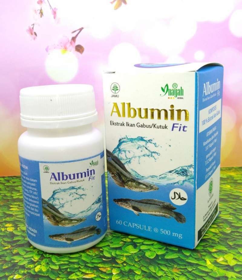Promo Albumin Fit - Ekstrak Ikan Gabus - 60 Kapsul Original Inayah Herbal Luka Luar Dan Dalam ...