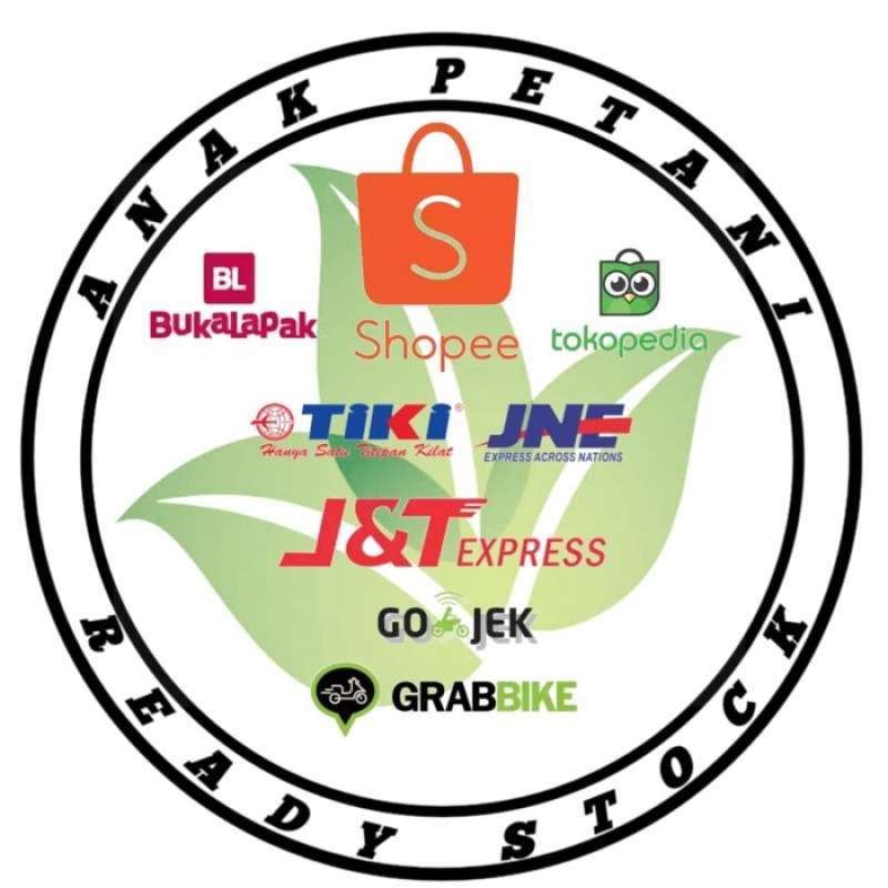 Jual Bibit Pohon Mimba/tanaman Buah Daun Imba Mimba Herbal Banyak ...