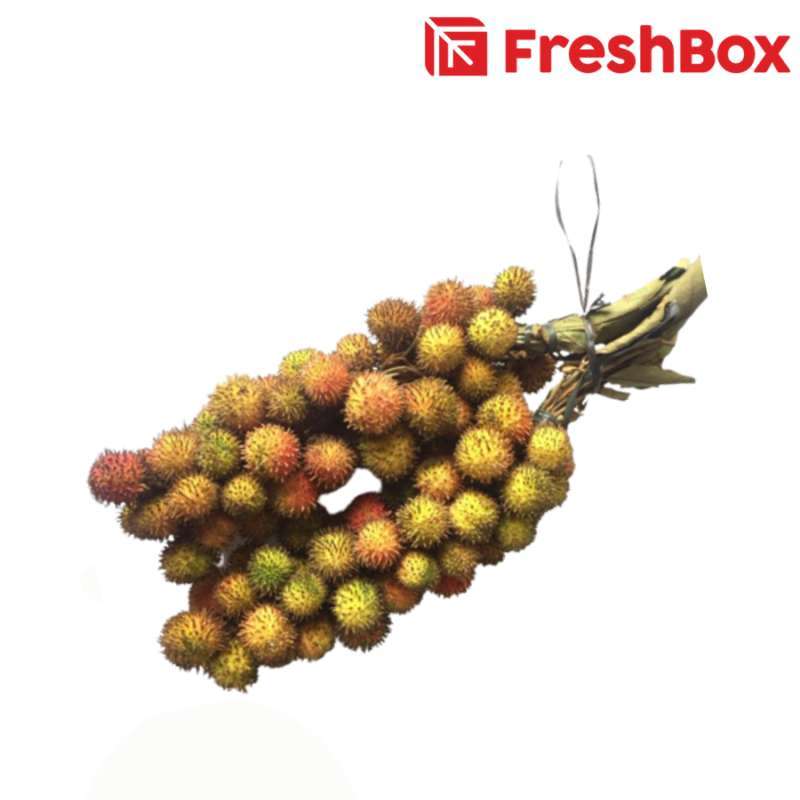 Jual Freshbox Rambutan Rapiah Buah [1 Ikat] Halal Di Seller Freshbox ...