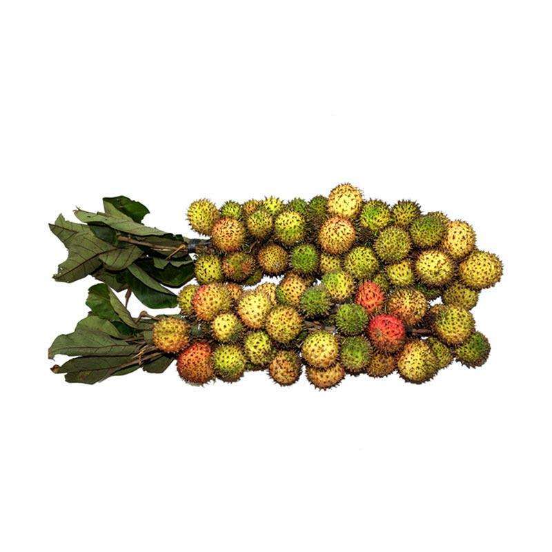 Jual Freshbox Rambutan Rapiah Buah [1 Ikat] Halal Di Seller Freshbox ...