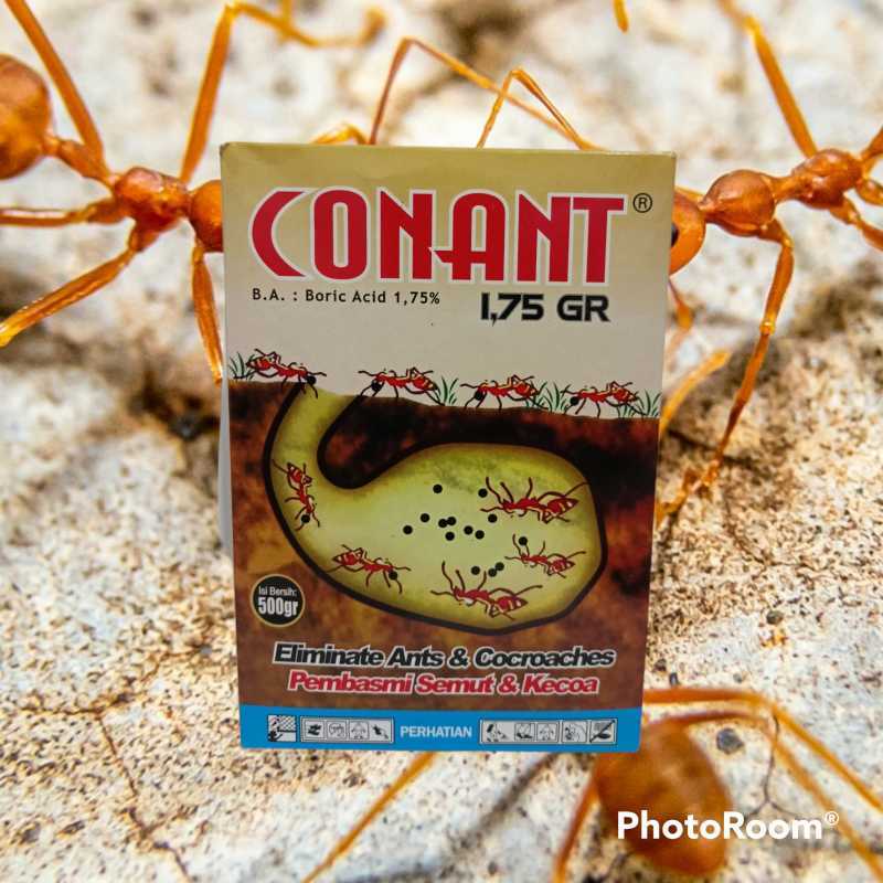 Jual Conant Racun Semut Ampuh untuk hama semut di rumah atau dapur dan ...