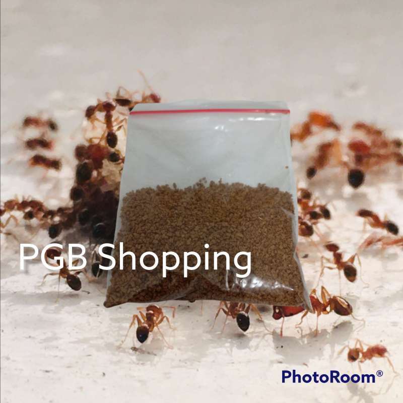 Jual Conant Racun Semut Ampuh untuk hama semut di rumah atau dapur dan ...