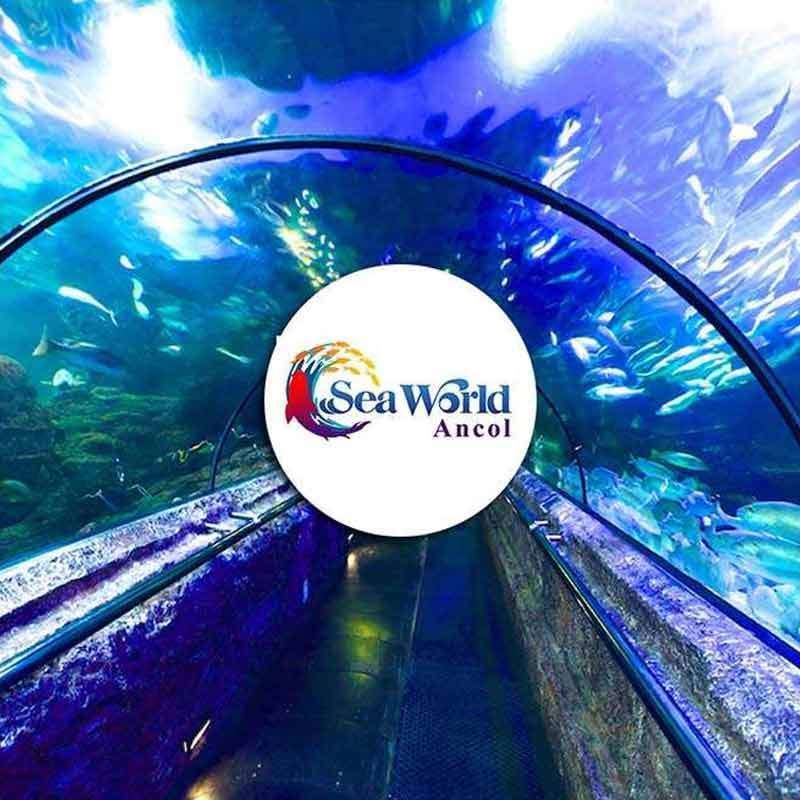 Jual Seaworld Promo Paket Ber 2 E-Voucher + Tiket Ancol Regular ...