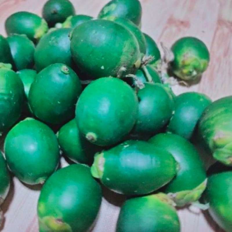 Promo 1kg Buah Pinang Muda Segar-jambe muda fress Diskon 3% di Seller ...