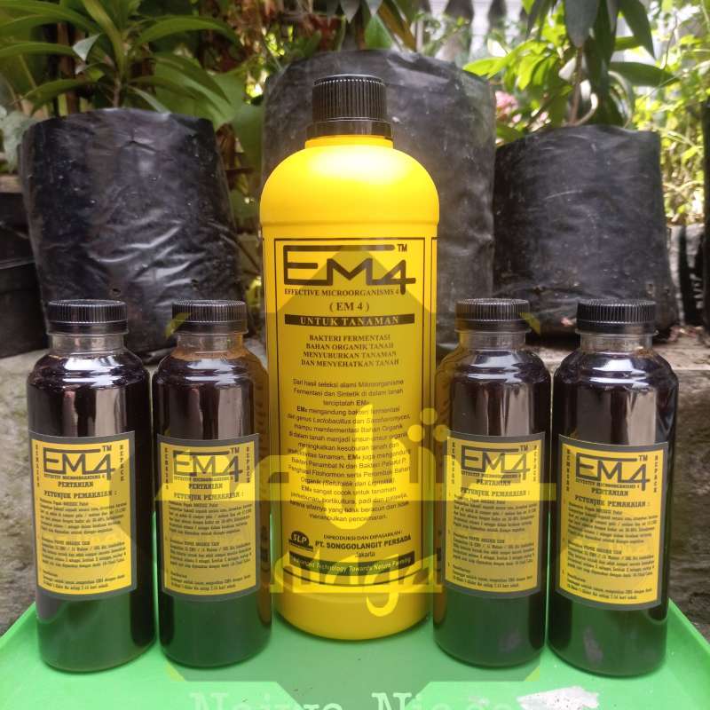 Jual em4 pertanian kemasan repack 250ml di Seller Najwa.Niaga - Sadang ...