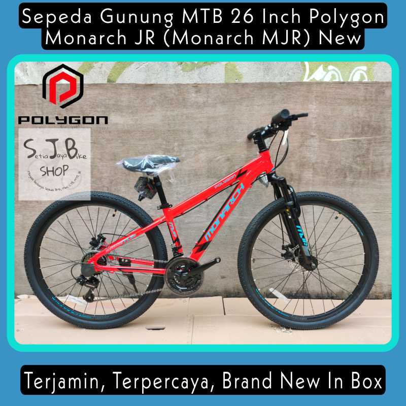 Jual Sepeda Gunung Polygon Warna Nya Original Terbaru - Harga Promo ...