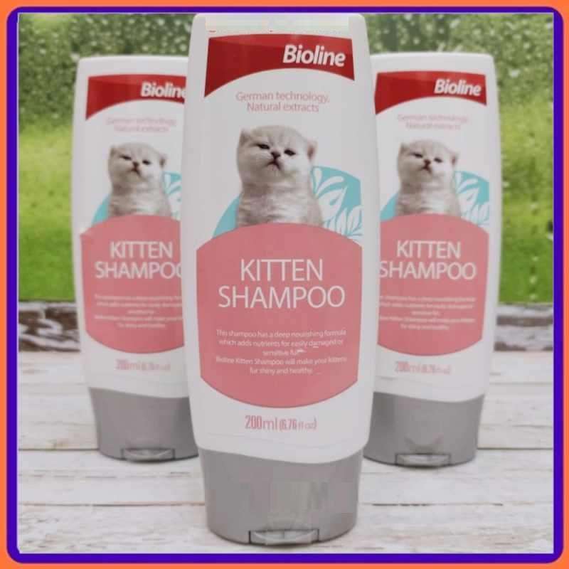 Yuk, Temukan Beragam Rekomendasi Sampo Kucing - Blibli Friends