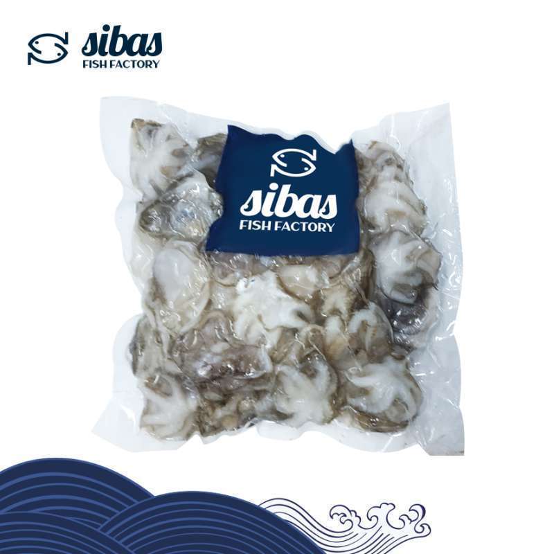 Jual Sibas Fish Factory Cuttlefish Sotong Makanan Beku [500 g] di ...