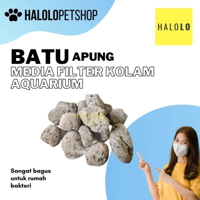 Jual Batu Apung Pumice Stone Media Filter Kolam Aquarium Rumah Bakteri ...
