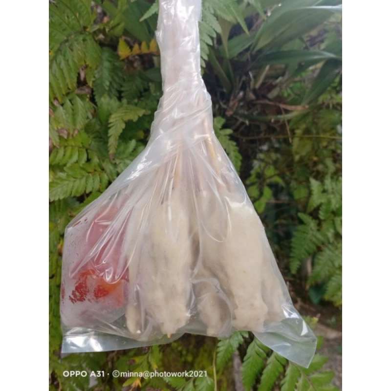 Jual Sempol Ayam Khas Malang Sempol Ayam Frozen Per Pack Isi 10pcs Di ...