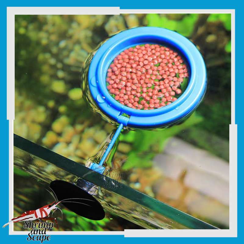 Jual Floating Feeding Ring Akuarium Ikan Tempat Makan Fish Feeder Bulat ...