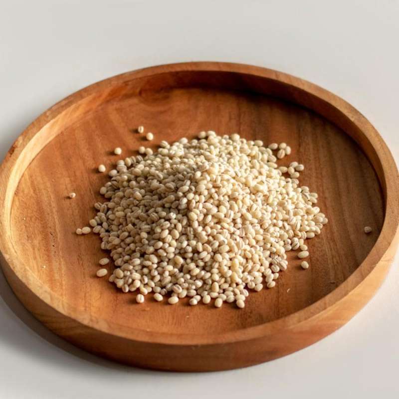 Jual Biji Jali Jali 500g Premium Quality di Seller tokoarnold88 ...