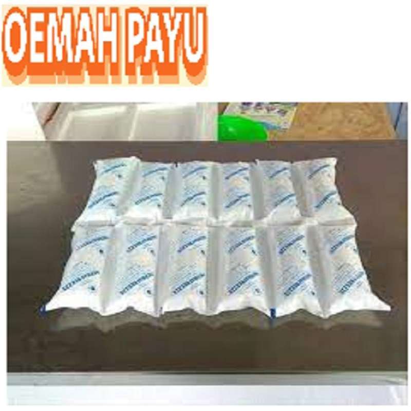 Jual THERMA FREEZE ICE PACK ISI 12-PACKING FROZEN FOOD BY OEMAHPAYU di ...