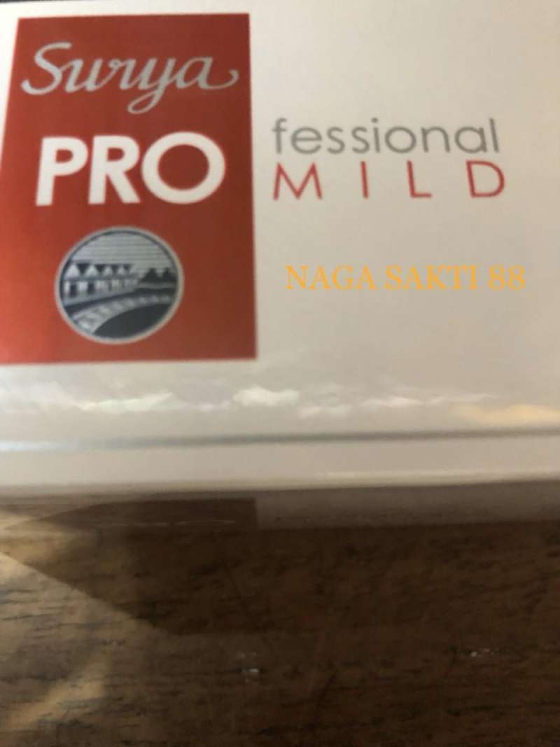 Surya Pro Mild 🔥 Harga Grosir Februari 2026