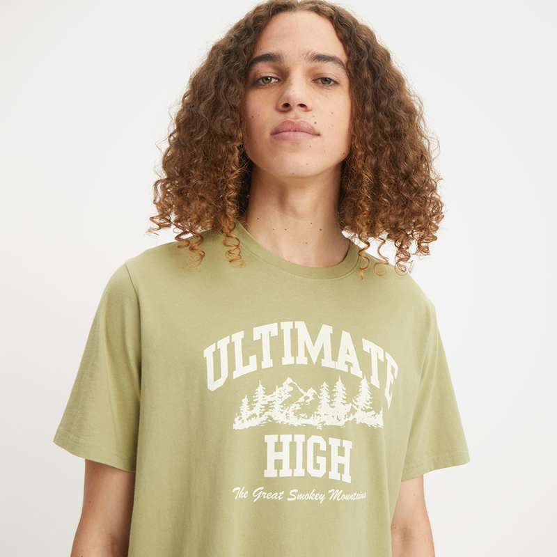 Jual Levi's® Men's Relaxed Fit Short Sleeve Graphic T-shirt (16143-0569 ...