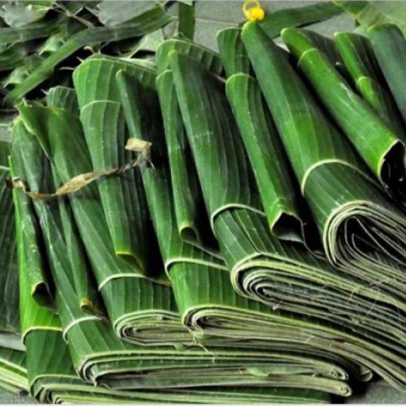 Jual Daun Pisang Batu Lebar Per 1 Satu Ikat di Seller buah segar jkt ...