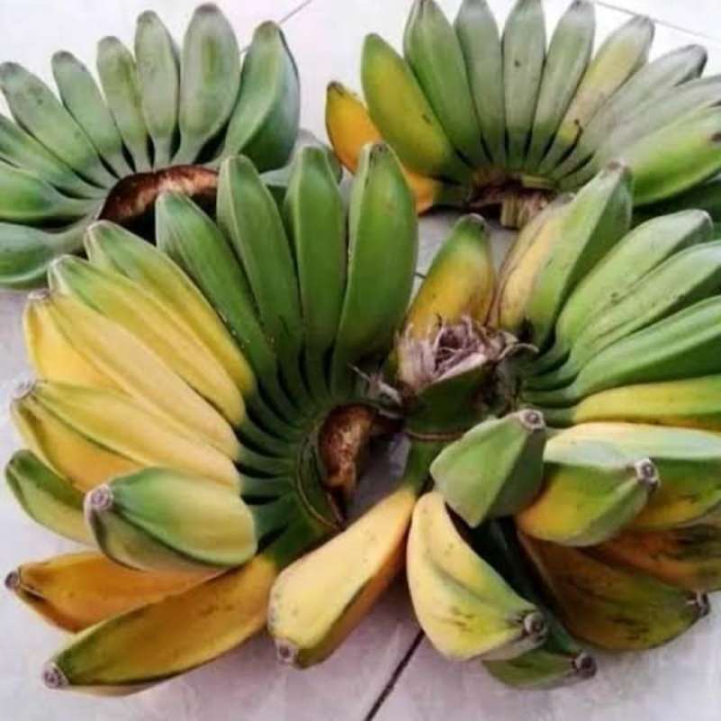 Jual Pisang Kepok Kuning Sukabumi 1 Sisir Halal di Seller buah segar ...