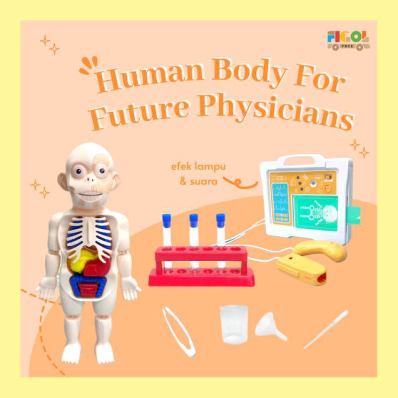 Jual Mainan Montessori Anatomi Tubuh Manusia Ilmu Kit Organ ...