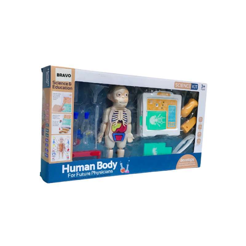 Jual Mainan Montessori Anatomi Tubuh Manusia Ilmu Kit Organ ...