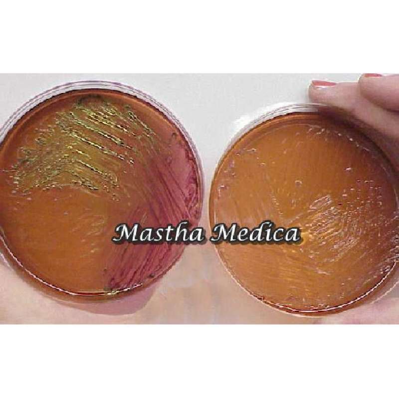 Promo Plate Media Eosin Methylene Blue Agar Alat Lab 1 Pack Diskon 17% ...