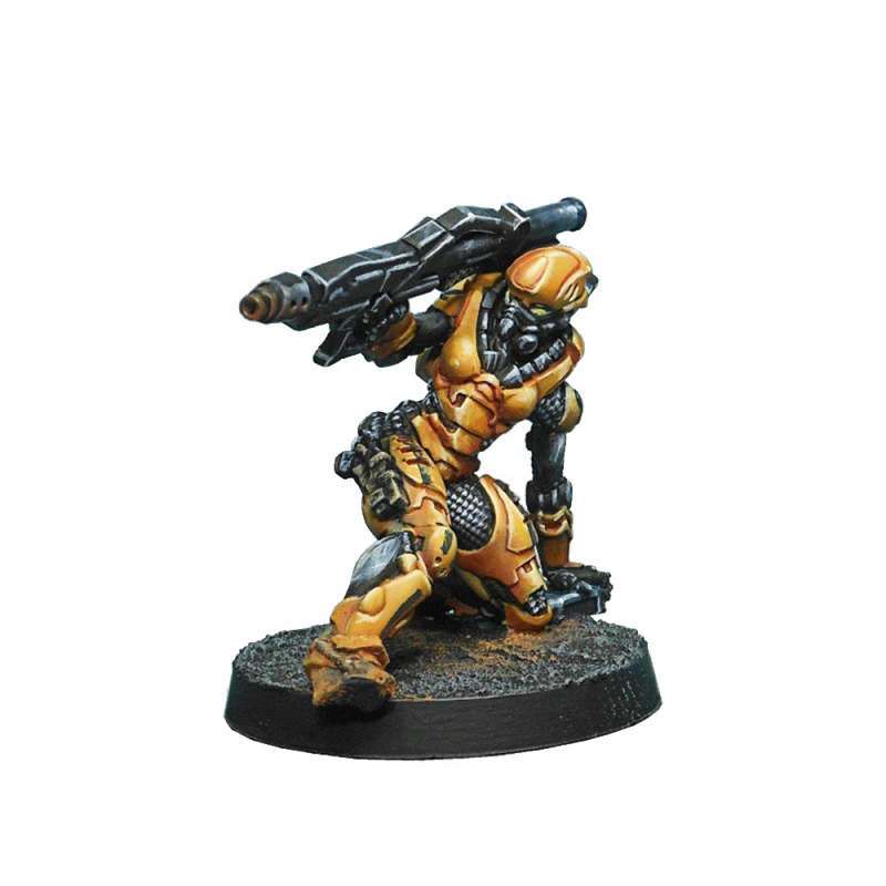 Jual Infinity Yu Jing Miniatures Wu Ming Assault Corps (Heavy RL) di ...