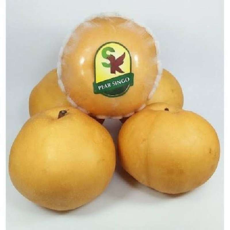 Jual Pir Singo Korea 1 Kg Terbaru September 2022 harga murah - kualitas ...