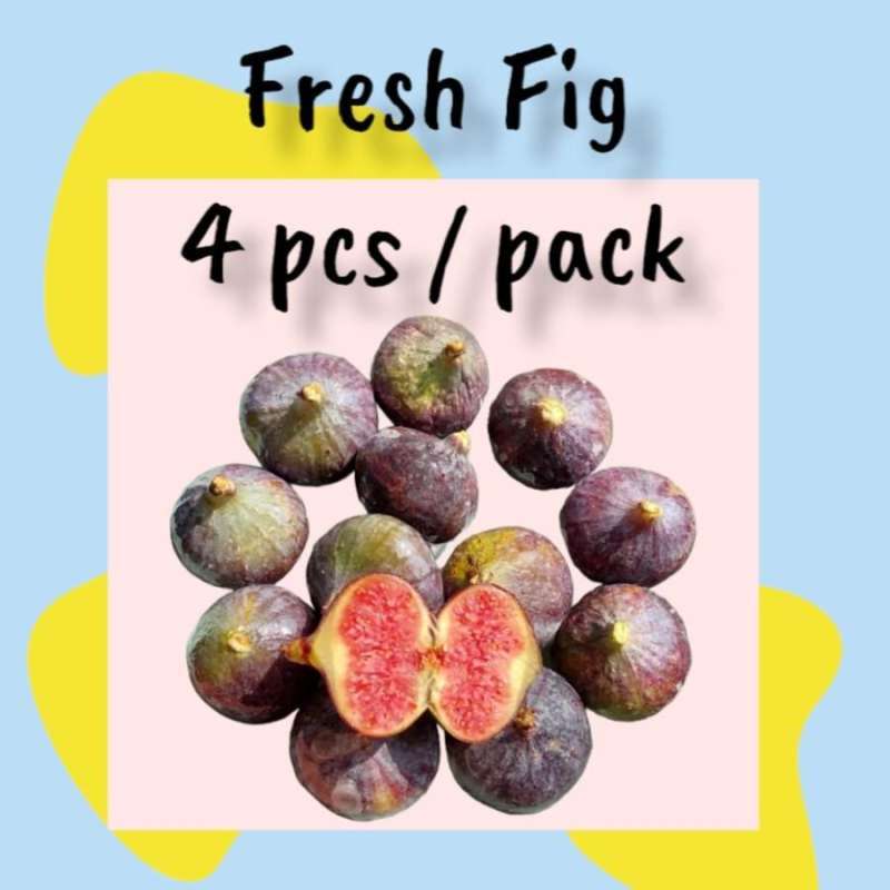 Jual FROZEN FRESH FIG - BUAH ARA TIN FRUIT FOR DOG TREATS SNACK ANJING ...