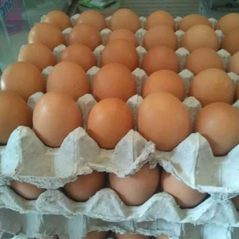 Jual Telur Ayam / Telor Ayam Satu Tray Isi 30 Butir Halal di Seller ...