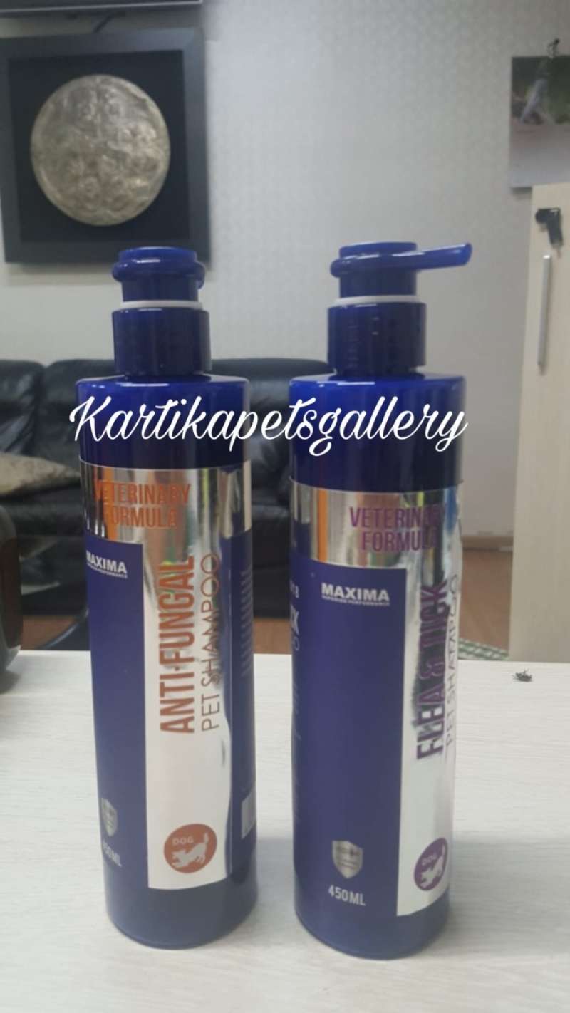 Promo Maxima veterinary formula anti fungal shampoo jamur untuk anjing ...