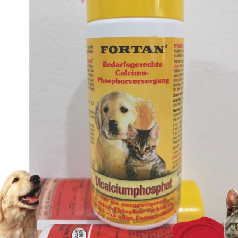 Jual Vitamin Tulang Hamil Menyusui Anjing Fortan Dicalciumphosphat 150g ...