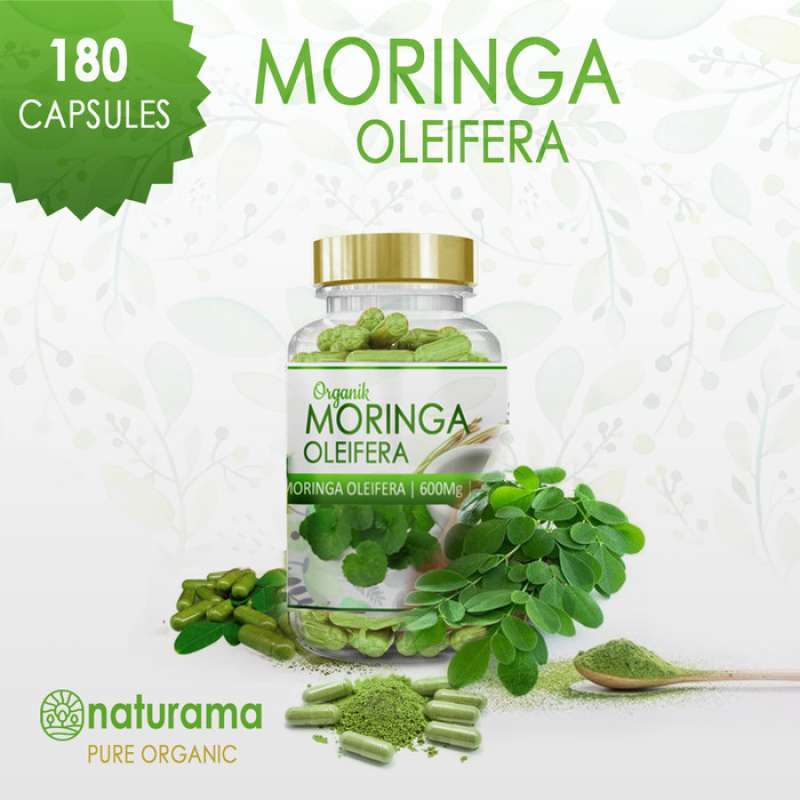 Jual Sale Moringa Oleifera 180 Kapsul Naturama Bubuk Daun Kelor Organik ...