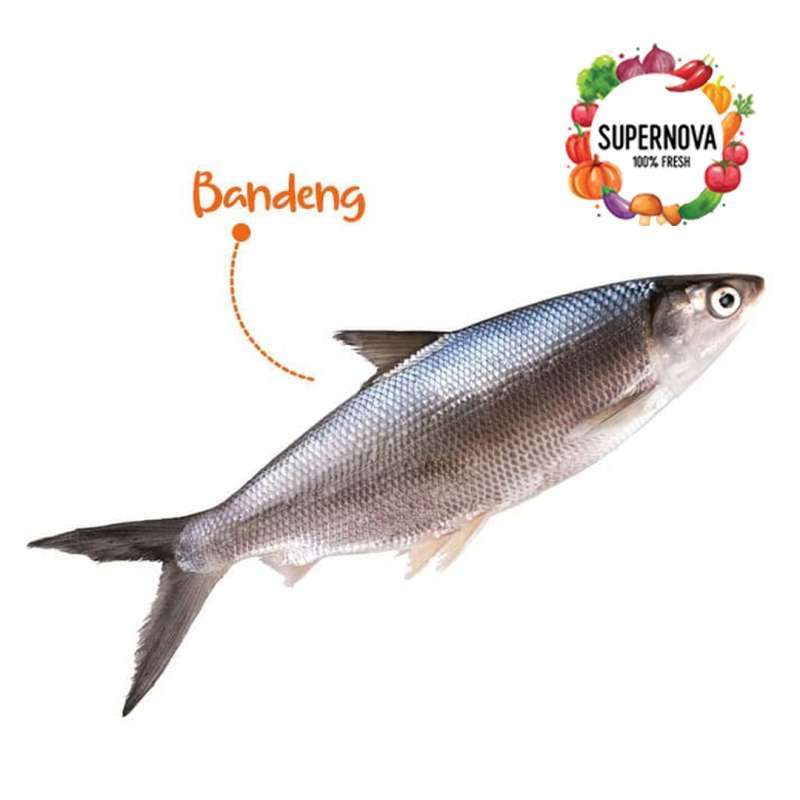 Jual Supernova Mart Ikan Bandeng Fresh [1 Kg] Halal di Seller Dede ...