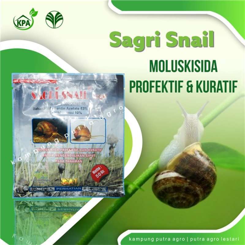 Jual Obat Pembasmi Hama Siput, Keong, Bekicot Pada Tanaman - Sagri ...