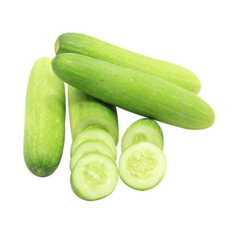 Jual Timun Per Kg Termurah - Harga Grosir Terupdate Hari Ini | Blibli
